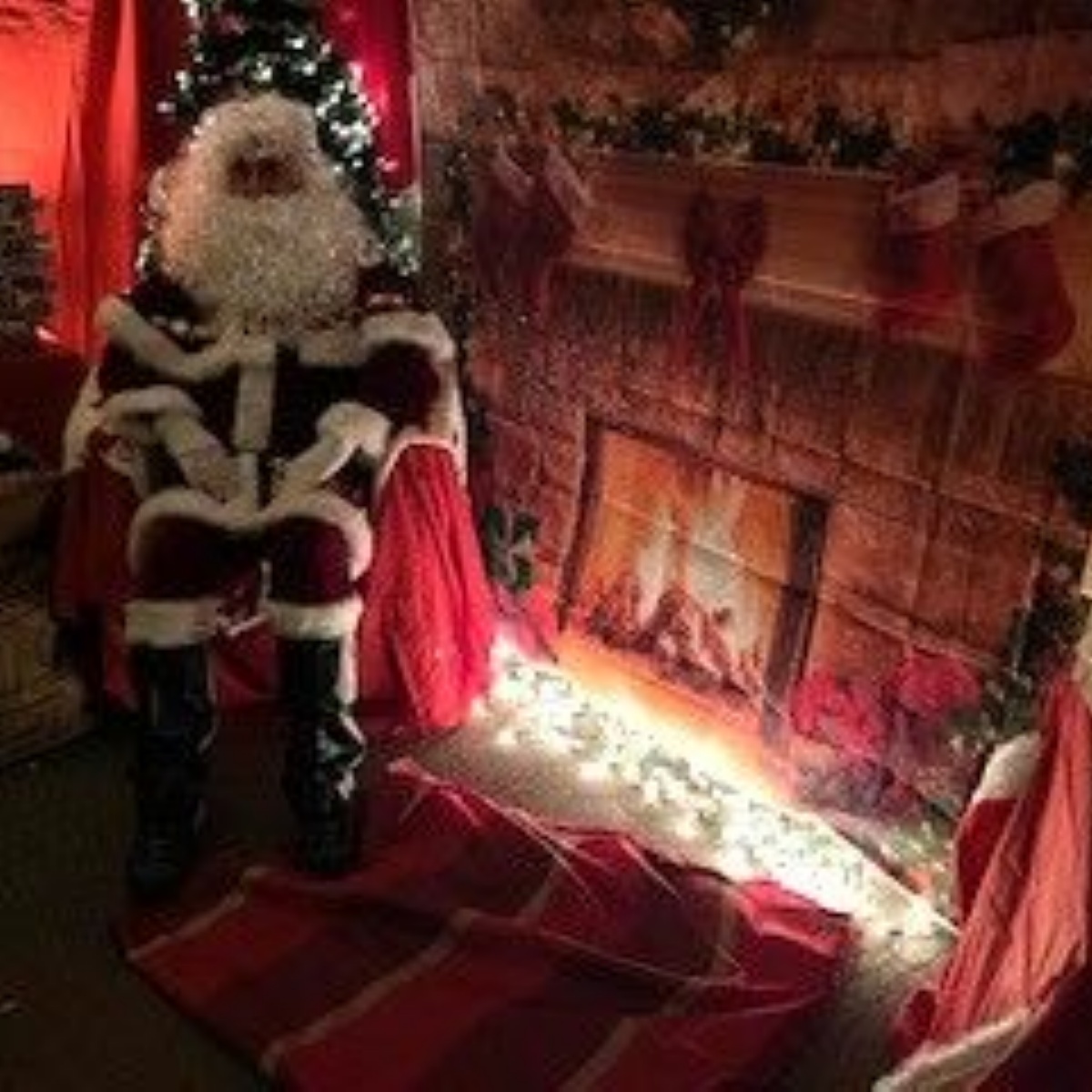 Brunswick House Primary School - Christmas Fair